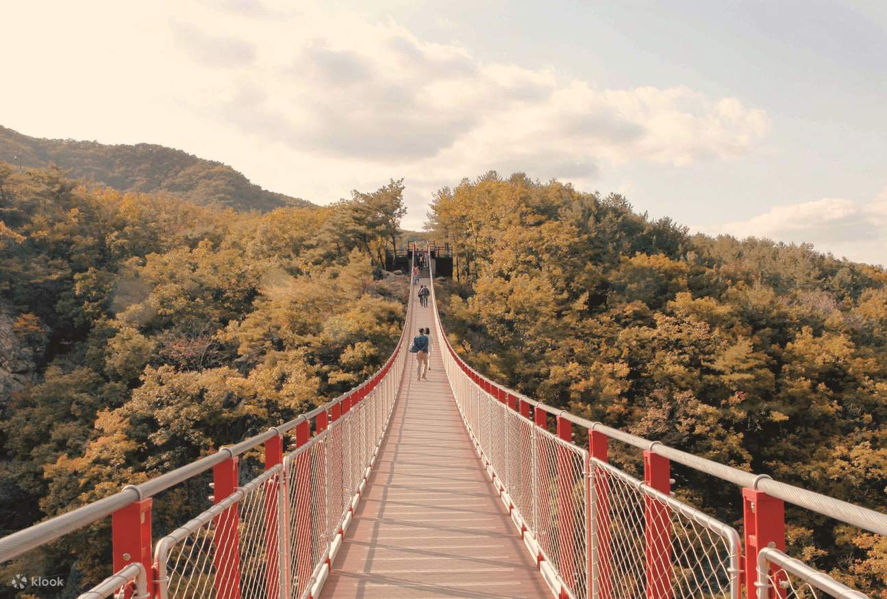 Black Desert Land of the Morning Light Day Tour - Klook United Kingdom